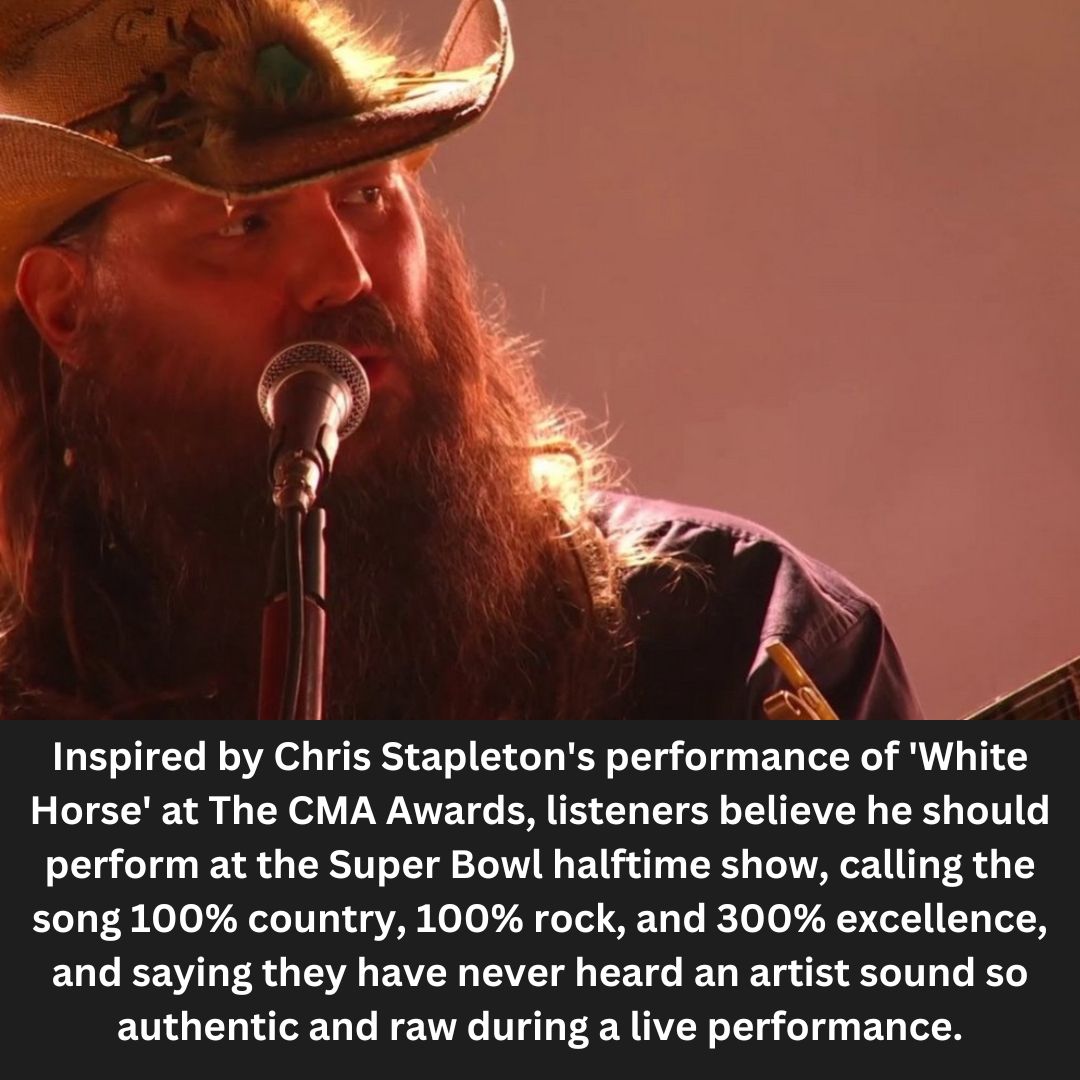 Supporters Want Stapleton's Authentic, Raw 'White Horse' Display For ...